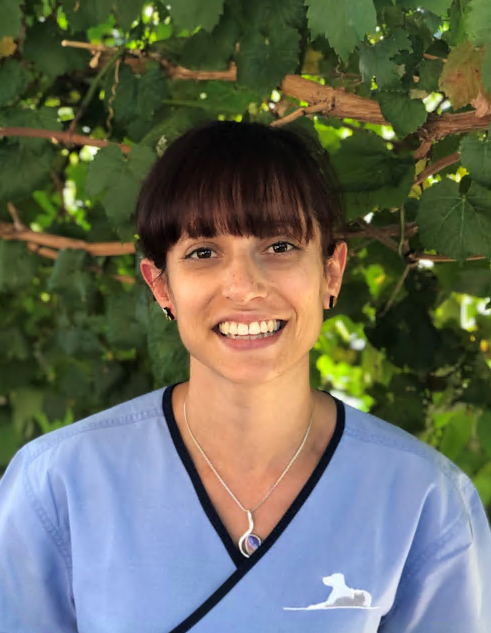 Team | Gawler Animal Hospital