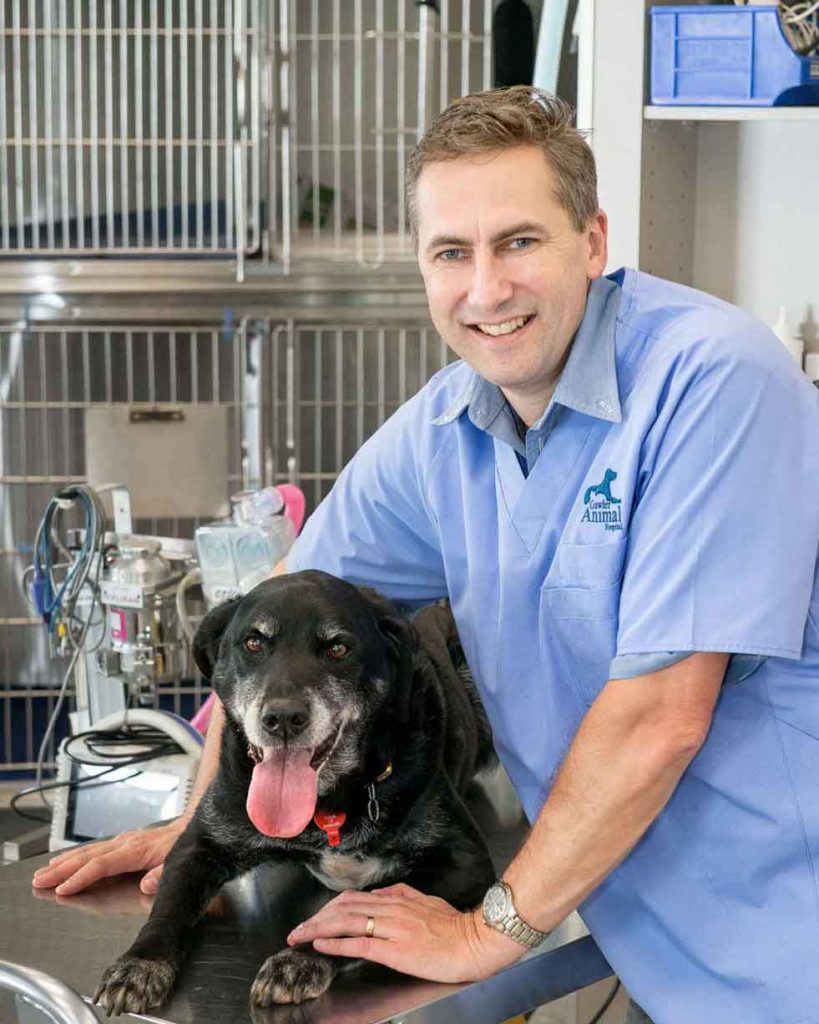 The Benefits of Private Veterinary Practice | Gawler Animal Hospital