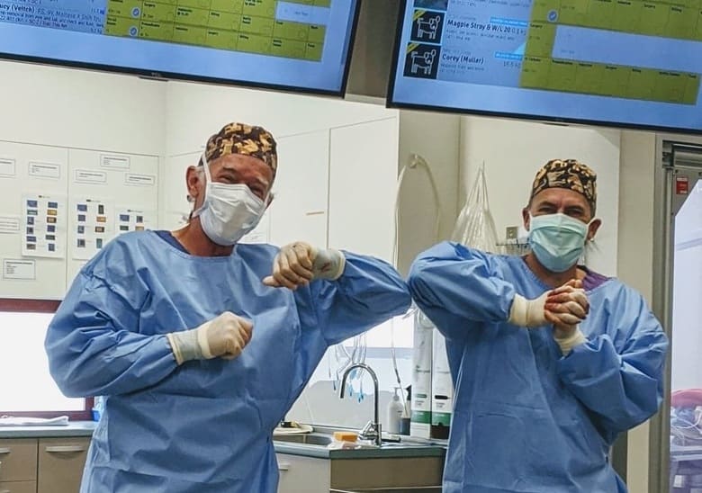 Services | Gawler Animal Hospital