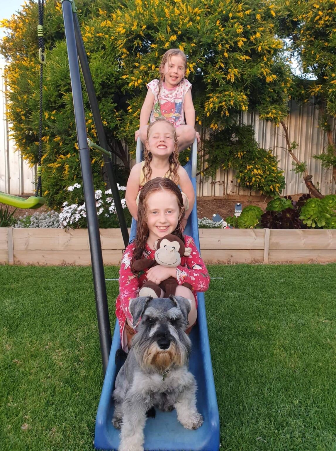 Gawler Animal Hospital – For all your pet care needs