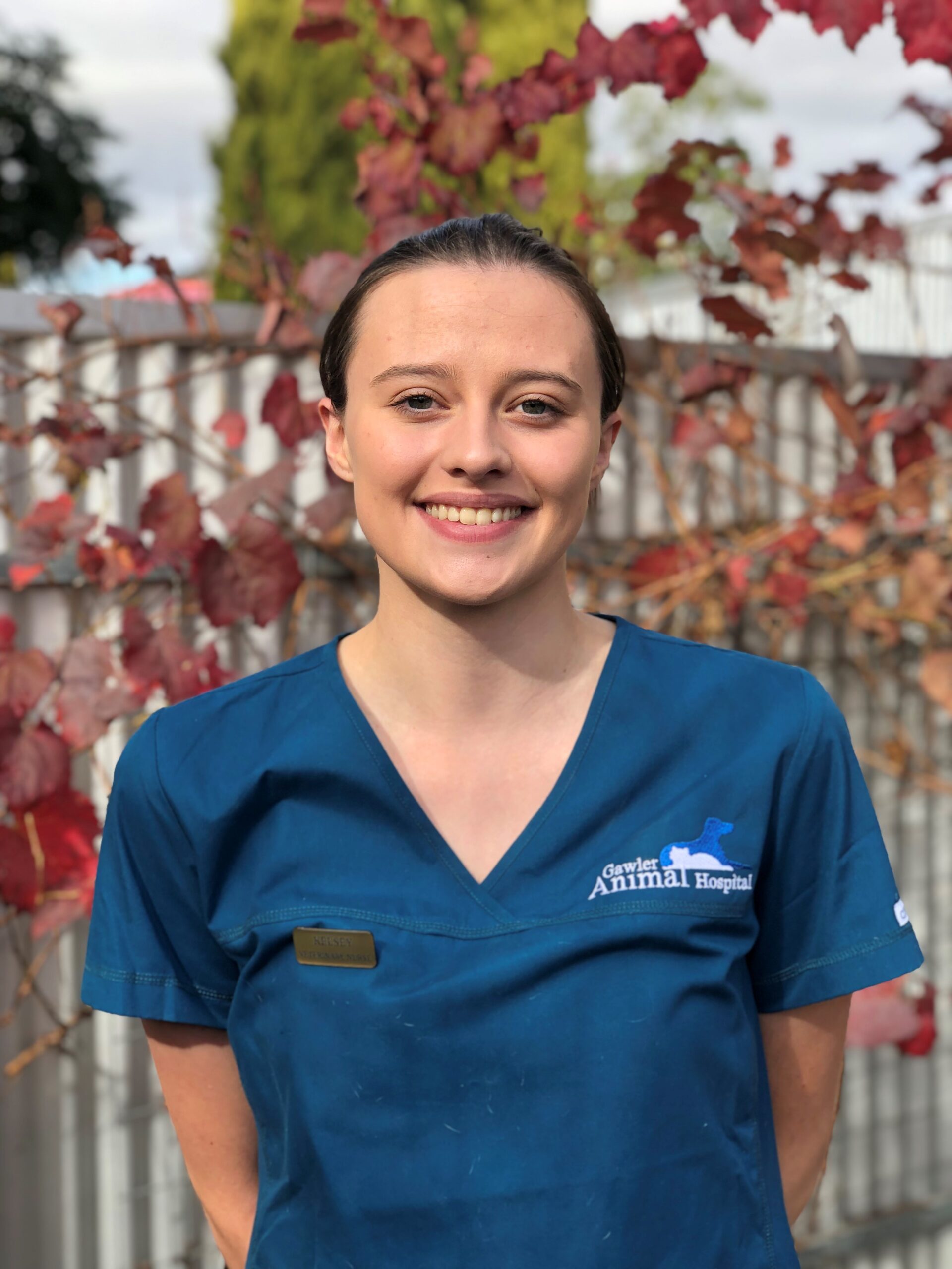 Team | Gawler Animal Hospital