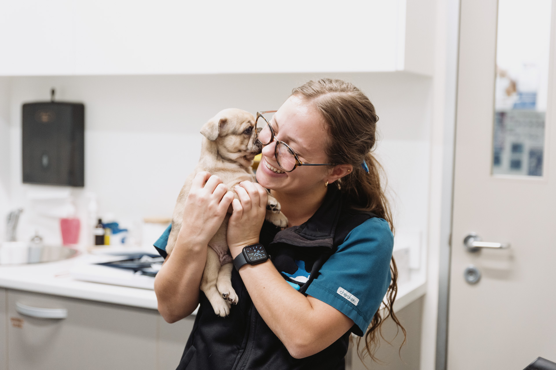 Gawler Animal Hospital – For all your pet care needs