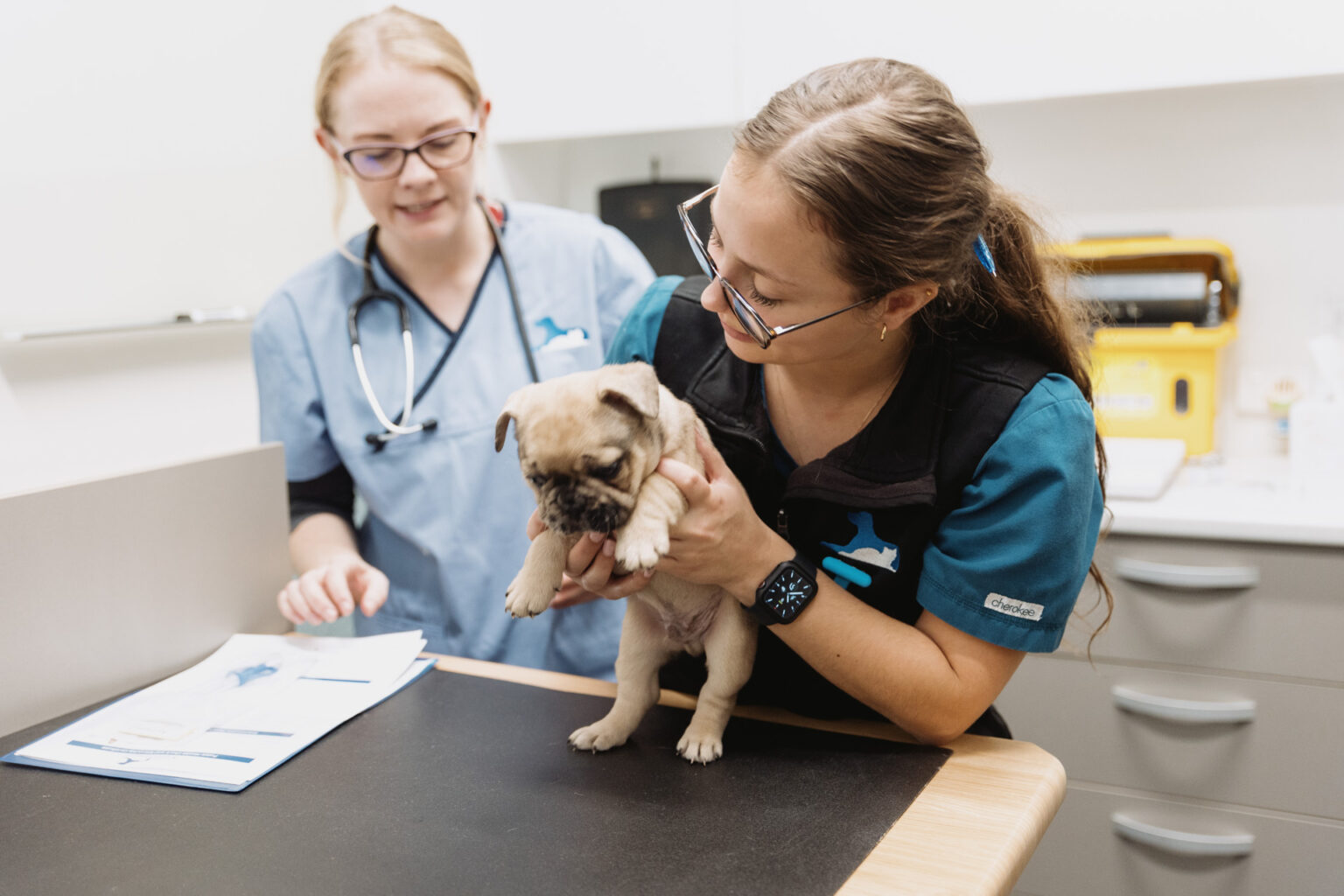 About – Gawler Animal Hospital