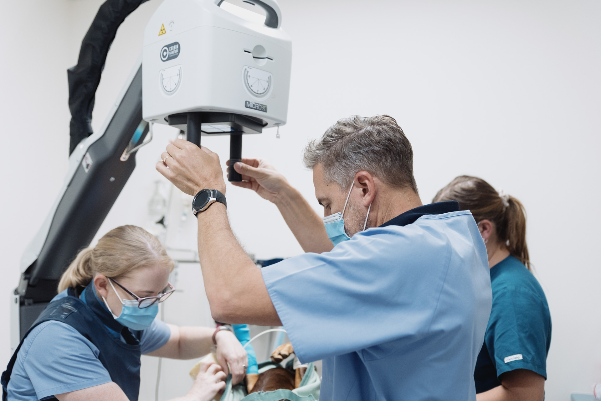 Services | Gawler Animal Hospital