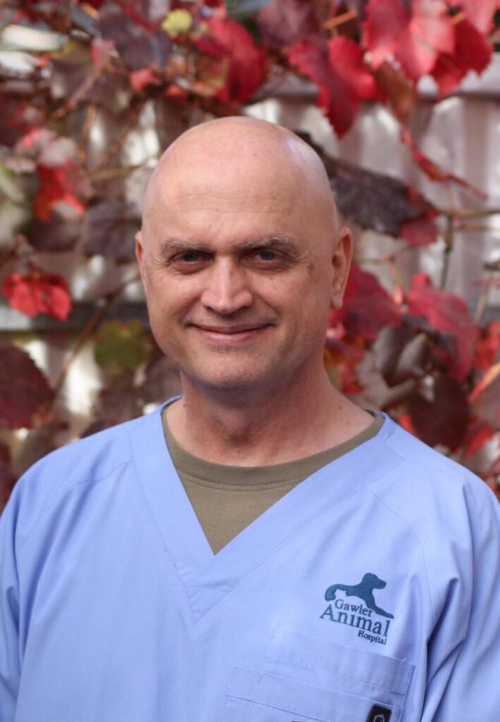 Team – Gawler Animal Hospital