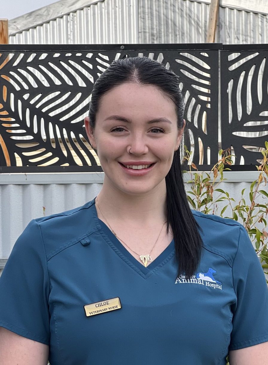 Chloe – Team Leader – Gawler Animal Hospital